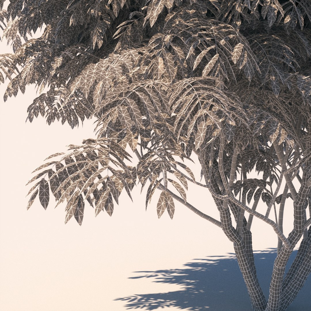 Manchurian Tree 3D Model - TurboSquid 1613919