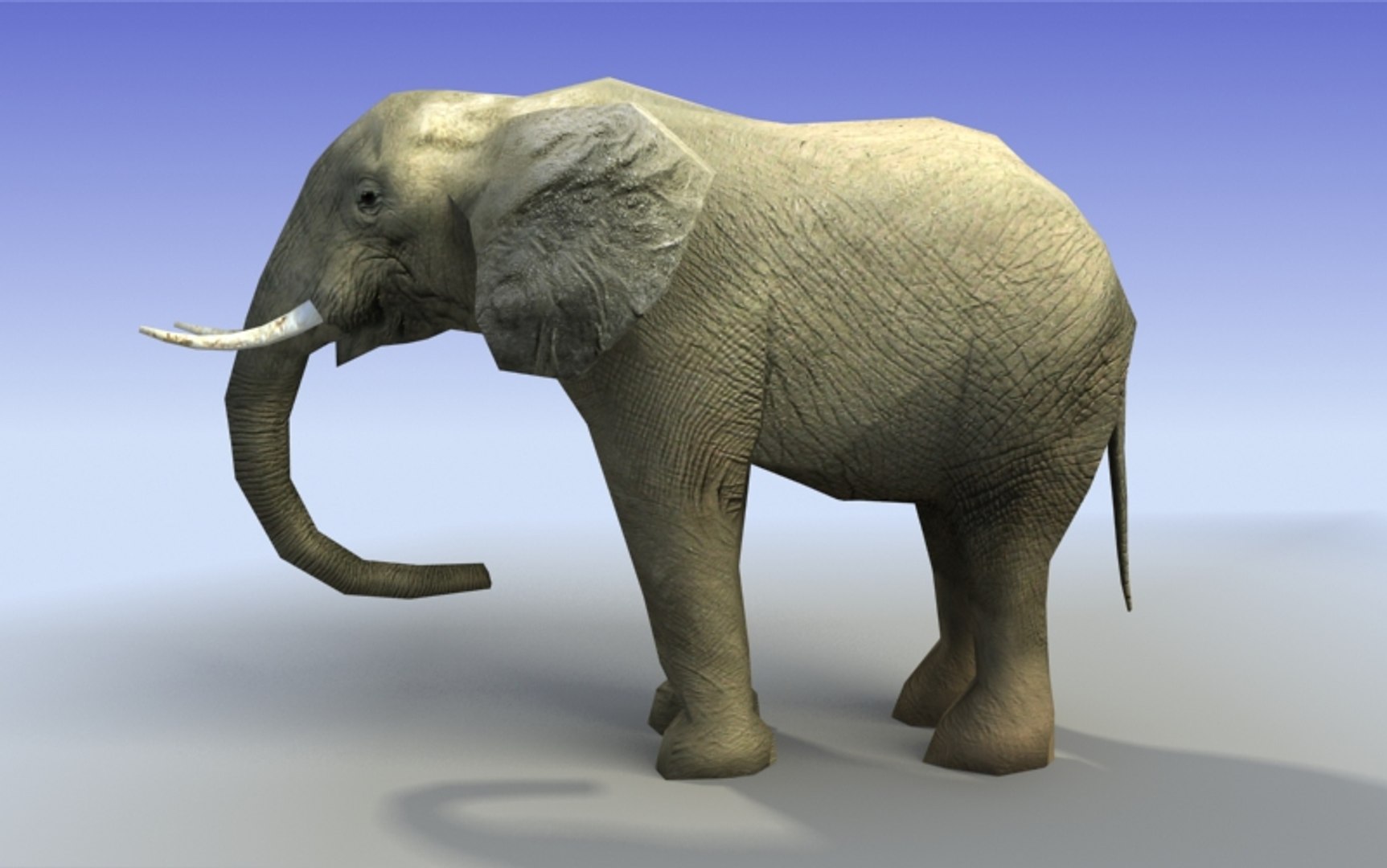 3dsmax African Elephant