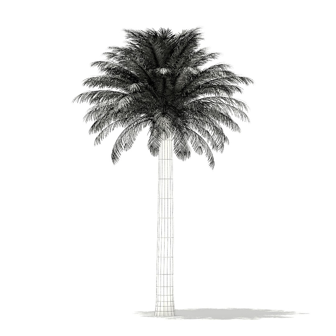 3D silver date palm tree model - TurboSquid 1355006