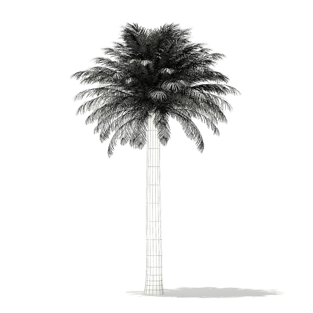 3D silver date palm tree model - TurboSquid 1355006