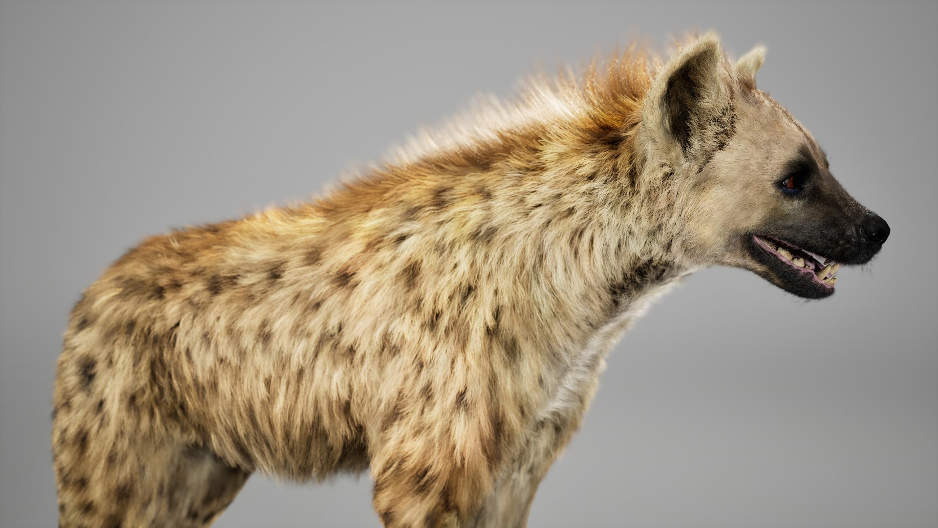 Hyena Rig UNREAL Project Maya Base Rig 3D - TurboSquid 2356837