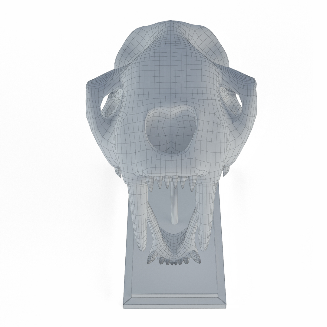 3d saber tooth tiger skull