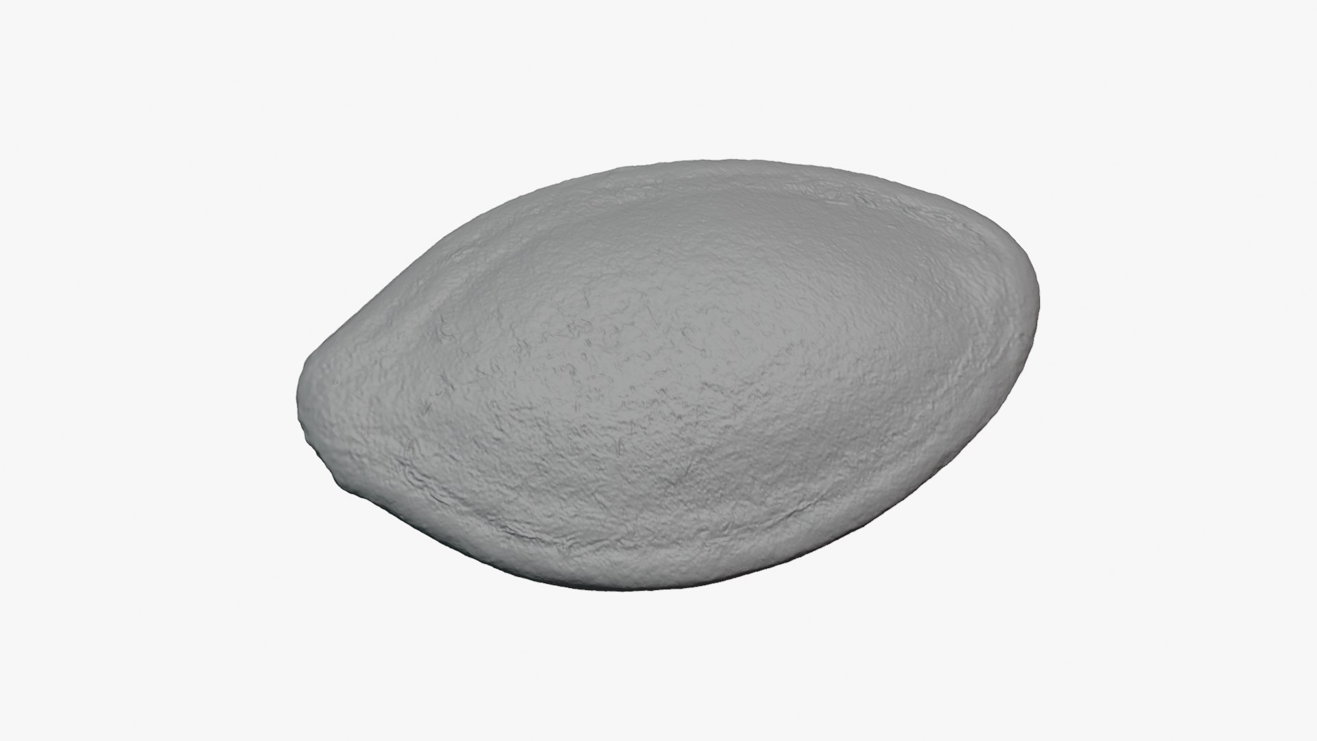 Pumpkin Seed 02 - For 3D Print 3D Model - TurboSquid 2509652
