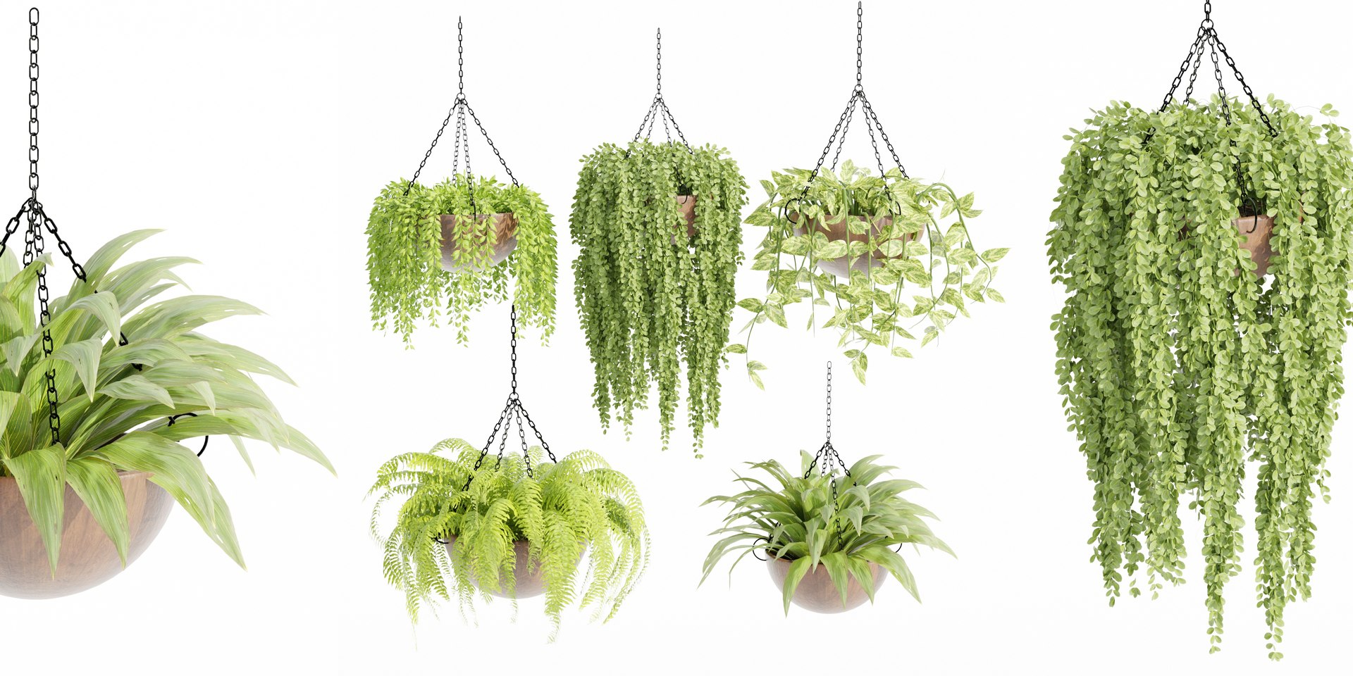 Hanging plants collection vol 33-Blender 3D model - TurboSquid 2123748