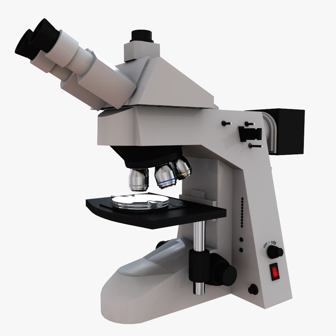 3d microscope micro model