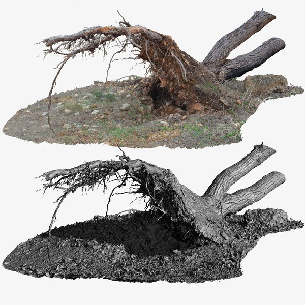 3d model tree 6