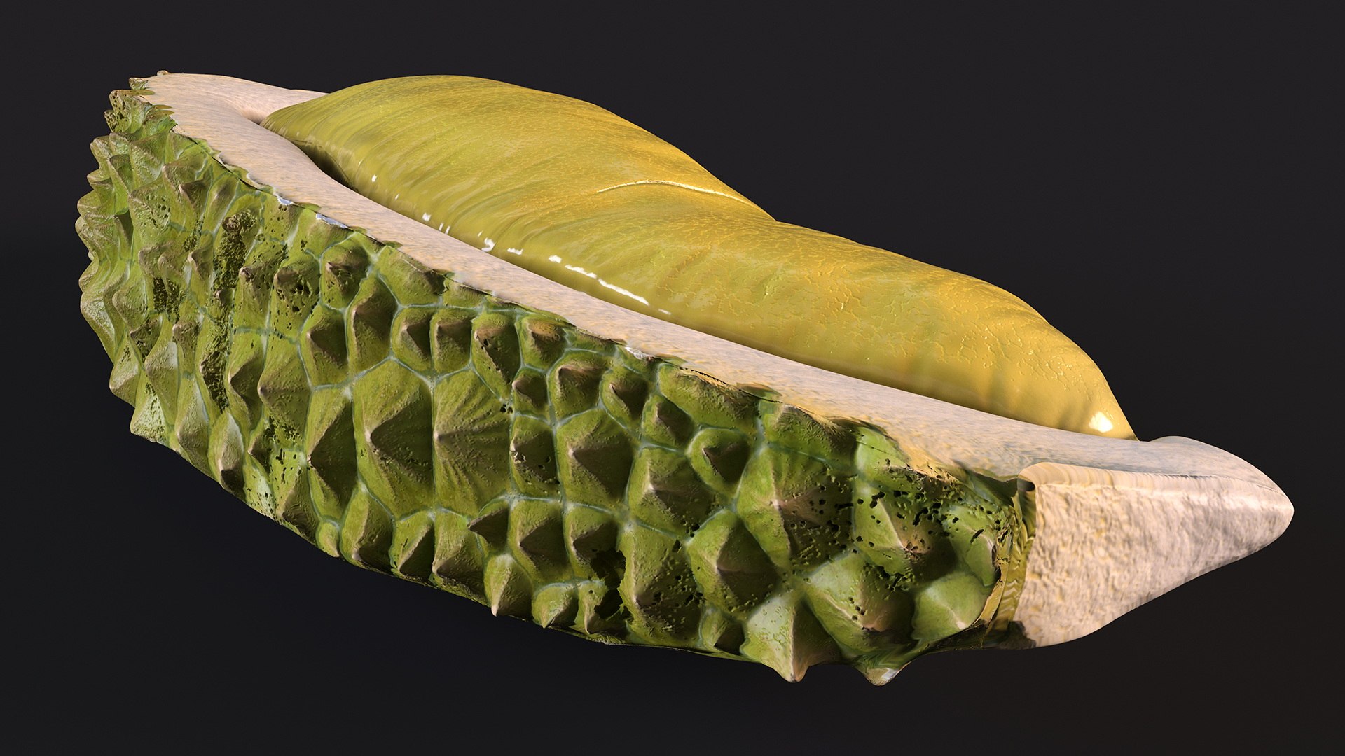 3D model Fresh Riped Durian Fruit Slice - TurboSquid 2083584