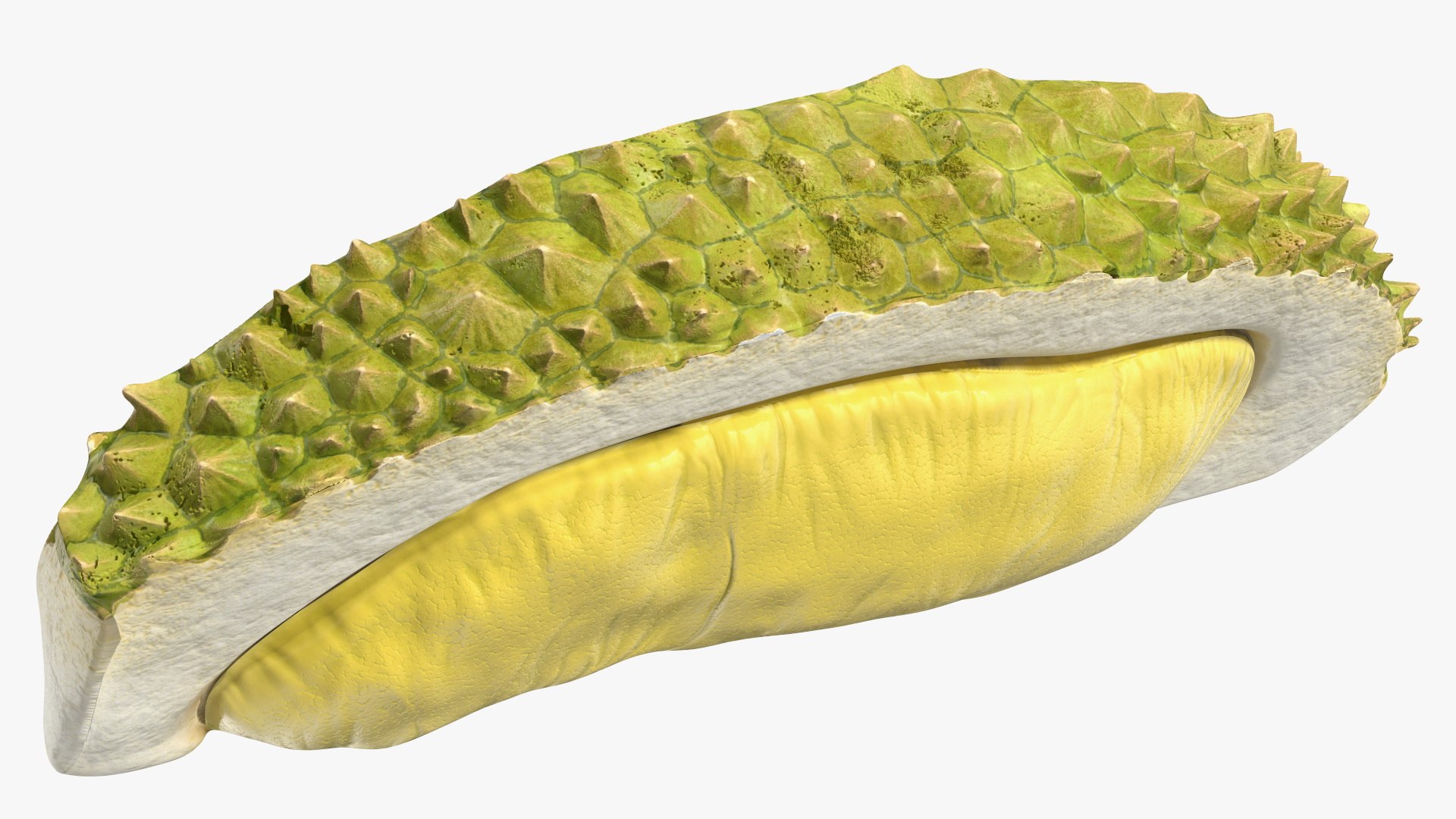 3D model Fresh Riped Durian Fruit Slice - TurboSquid 2083584