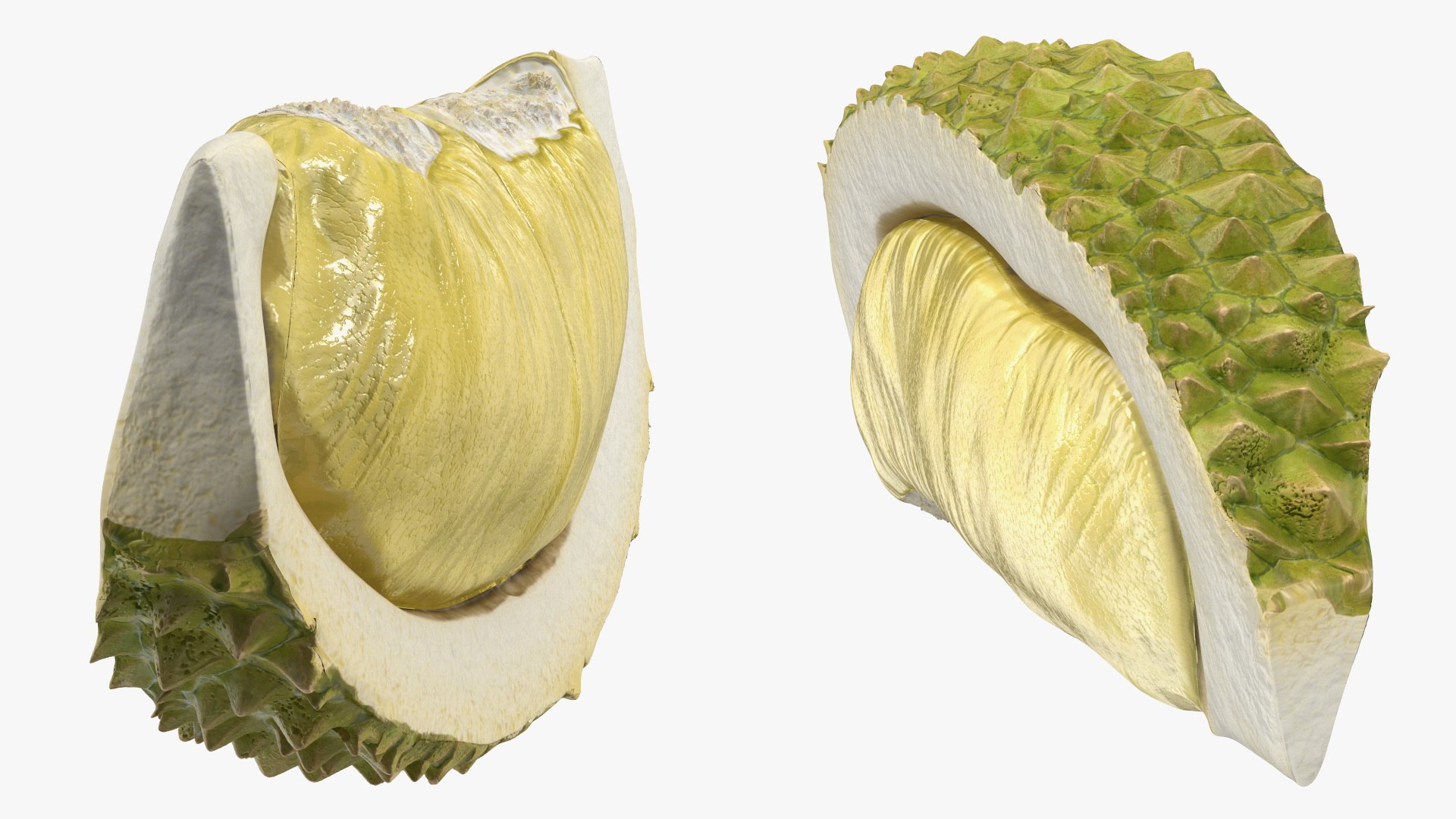 3D model Fresh Riped Durian Fruit Slice - TurboSquid 2083584