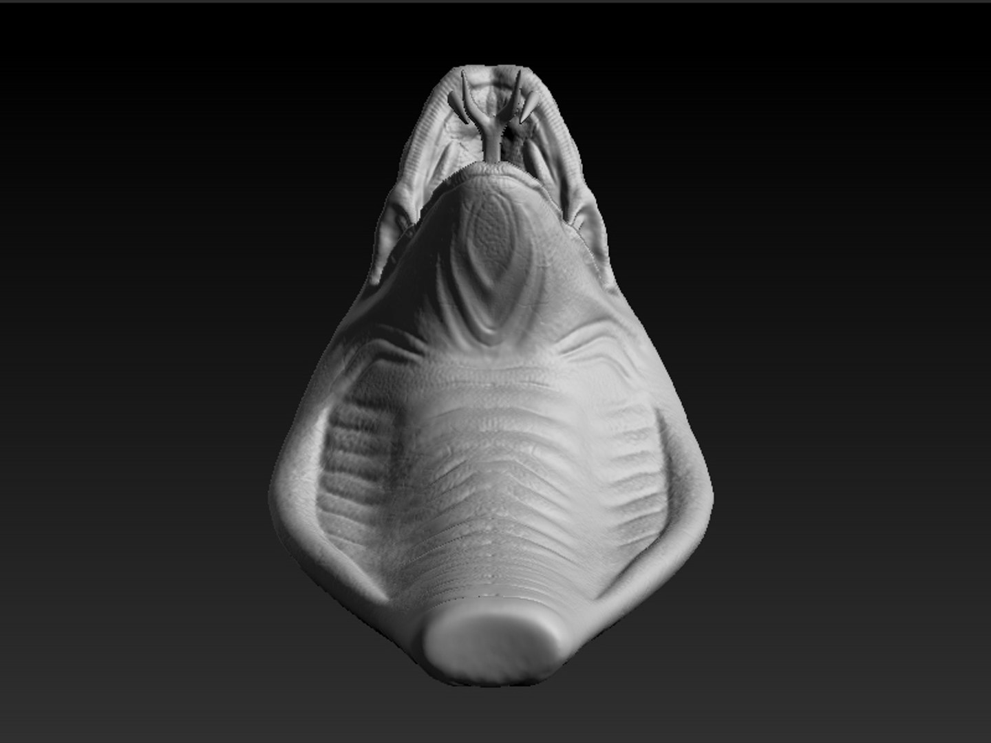 3d Model Cobra Head