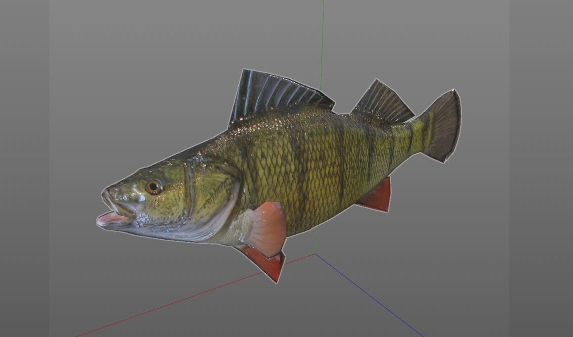 3D fish model - TurboSquid 1551913