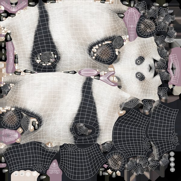 Giant Panda Fur 3D model - TurboSquid 1810285