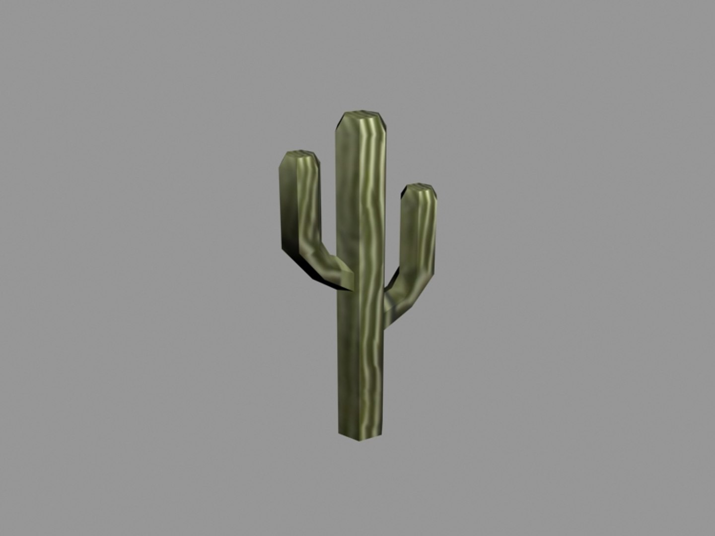 Free Cactus 3d Model