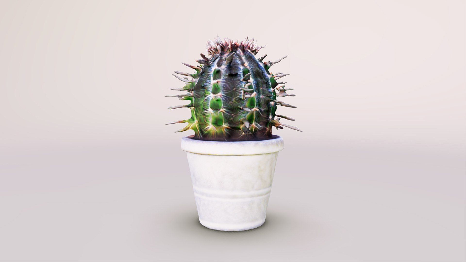 3D Model A Spiked Cactus Rests In A White Pot - TurboSquid 2204777