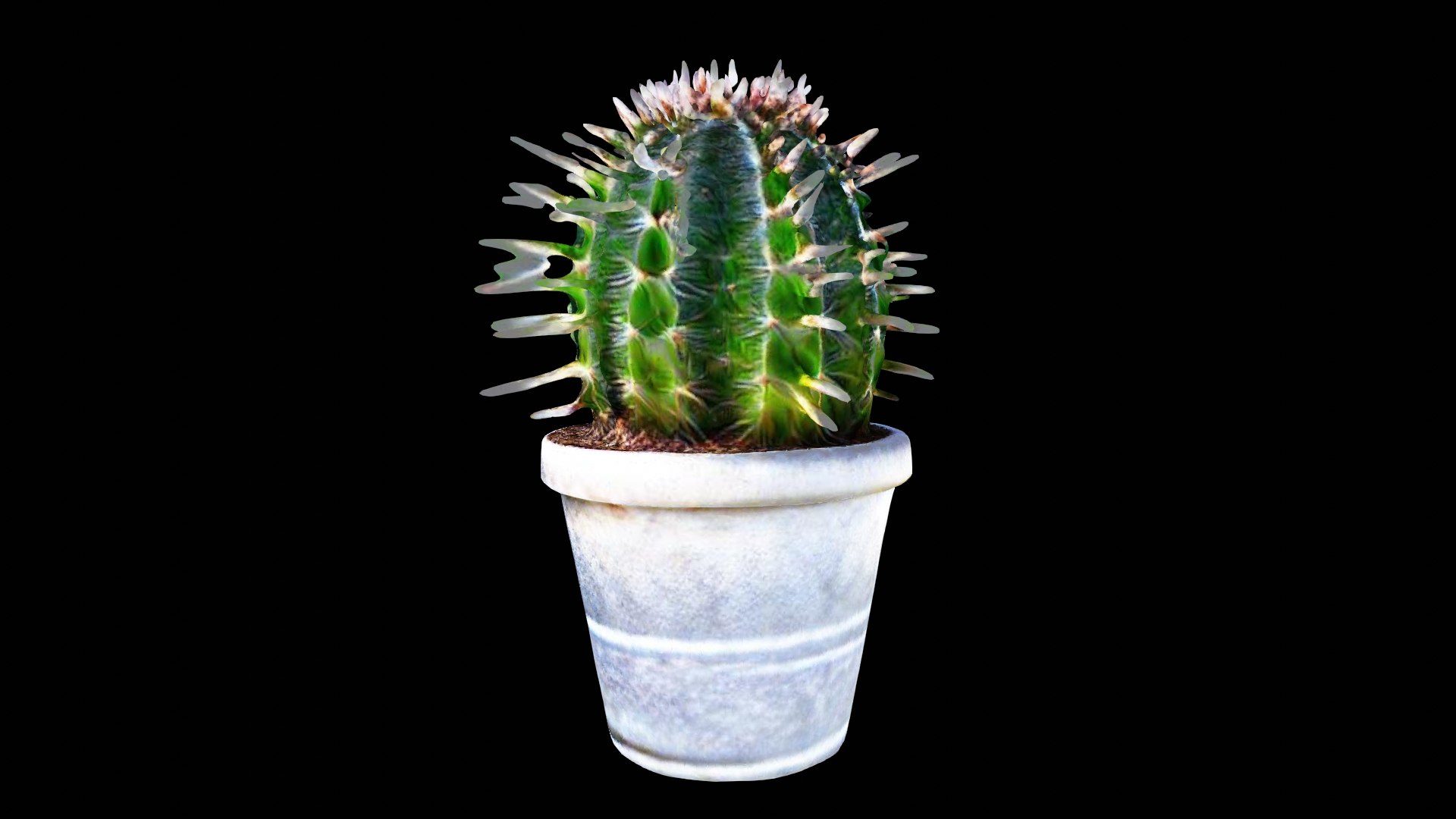 3D Model A Spiked Cactus Rests In A White Pot - TurboSquid 2204777