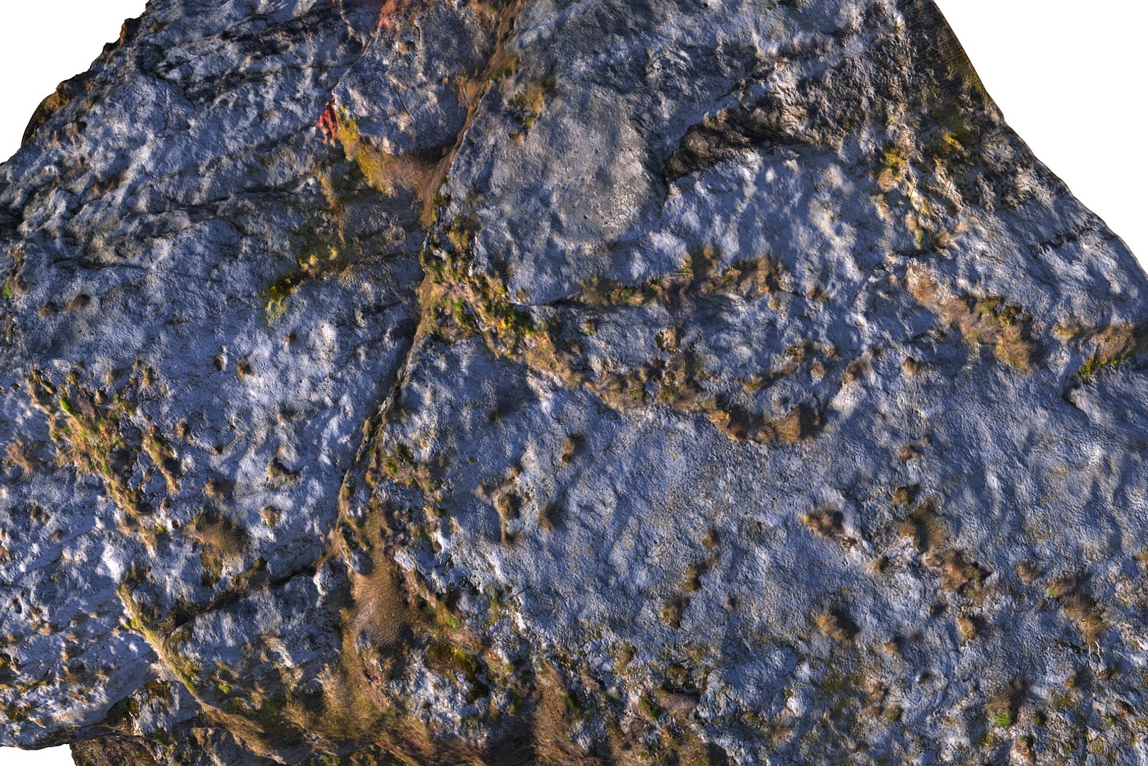 Maya Rock Forest Autumn 8k