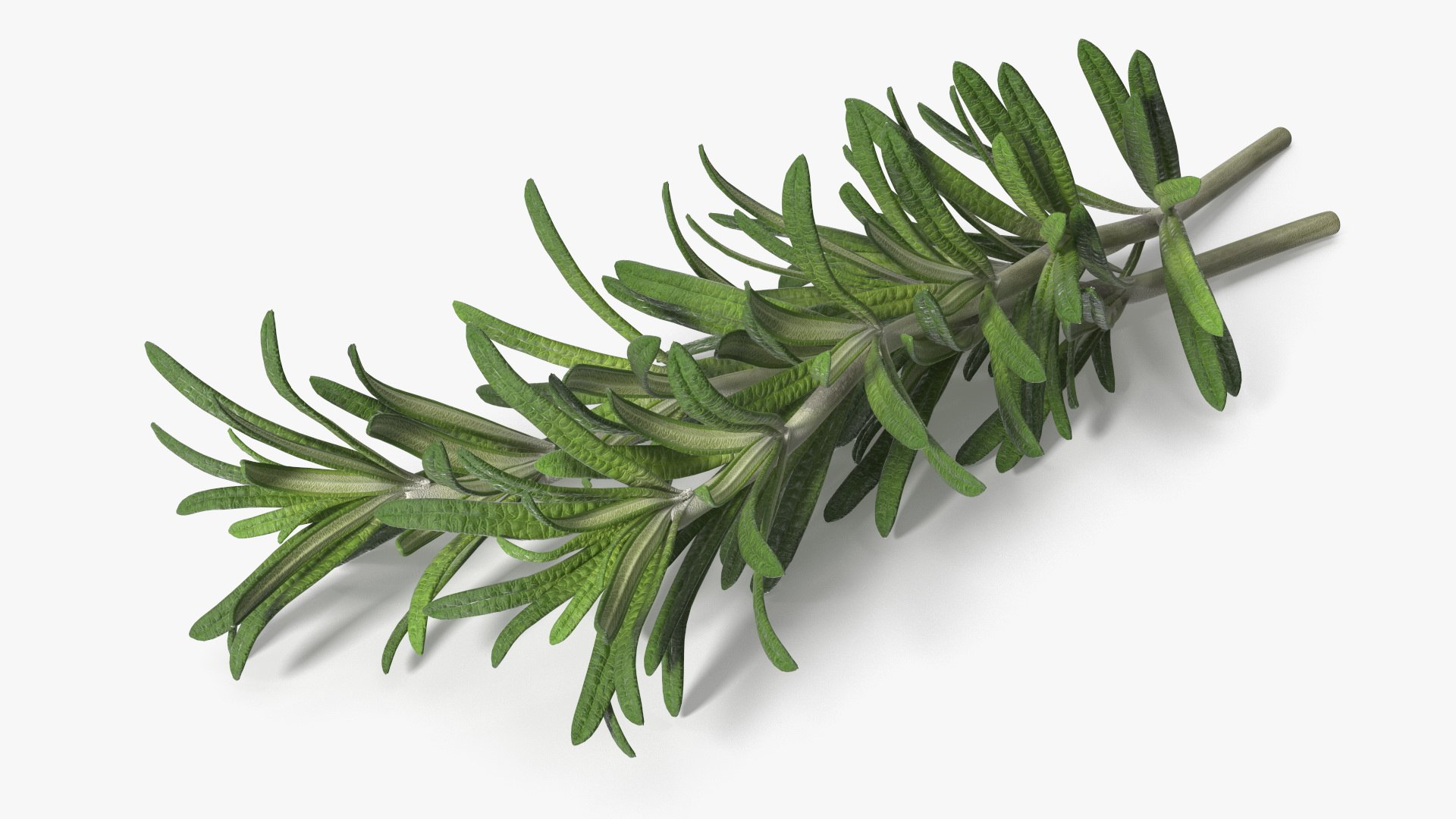 Champignons Chopped On Board 3D Model - TurboSquid 2386686