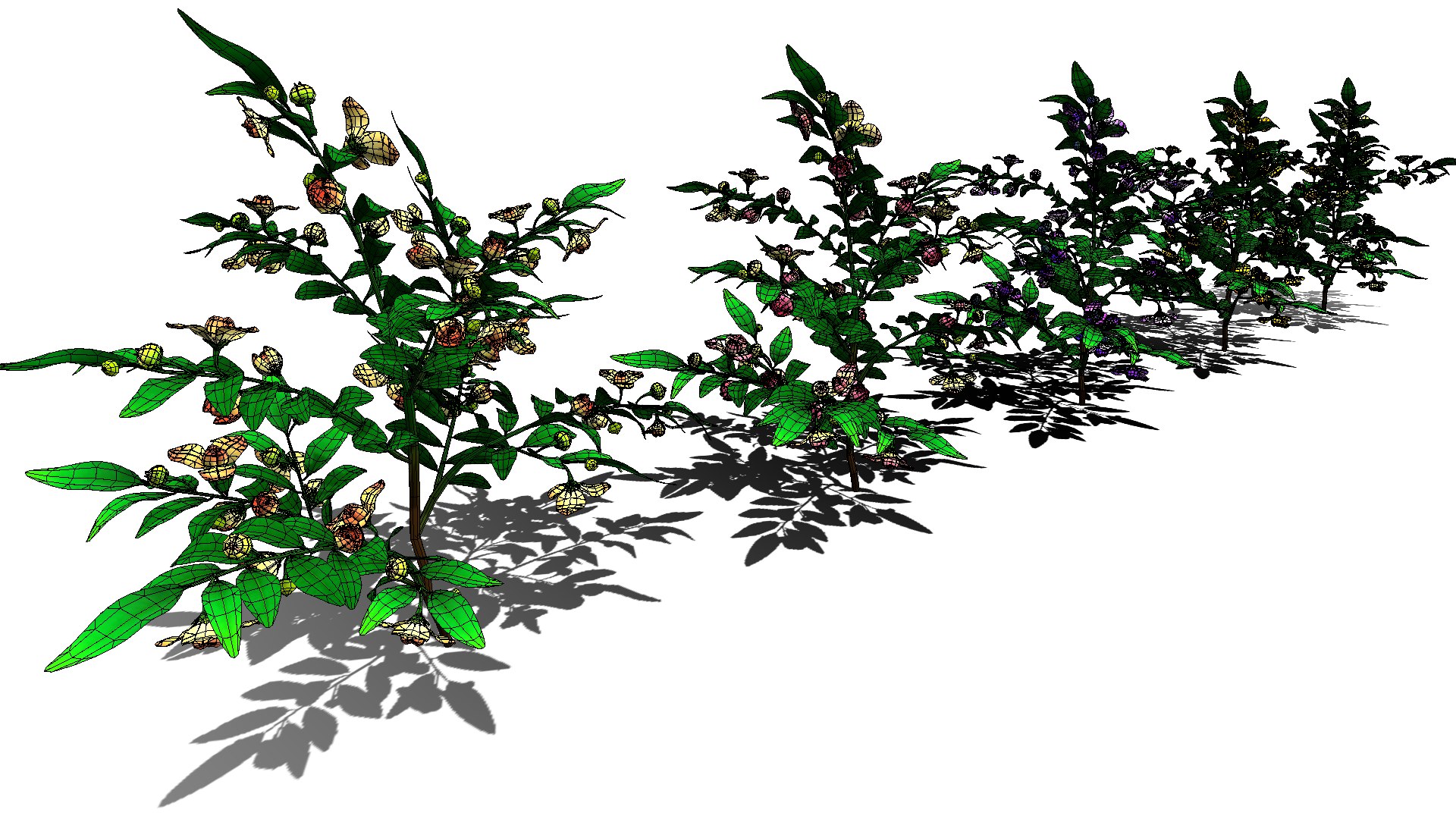 3D Flower Rumdul model - TurboSquid 2132118