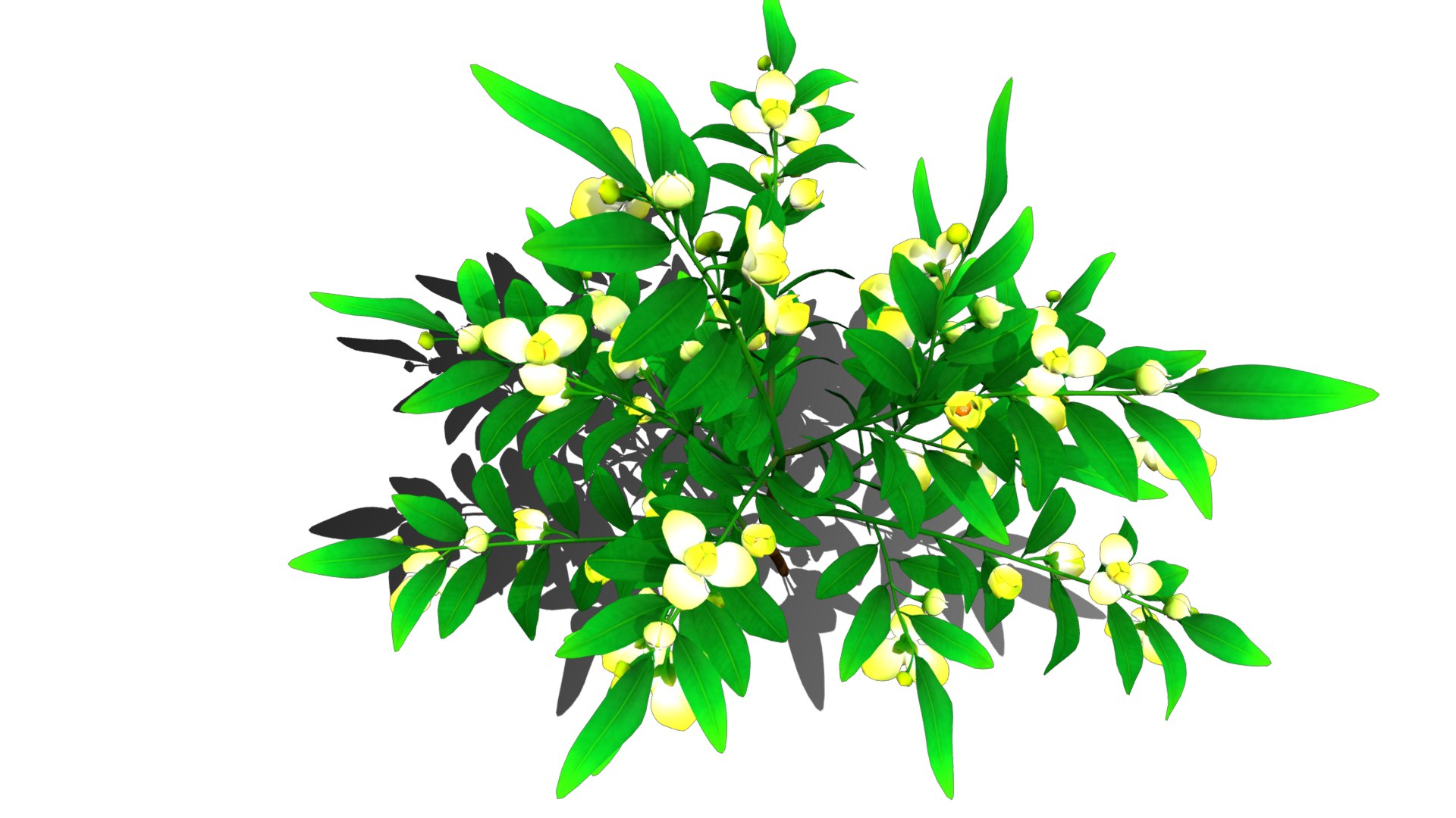 3D Flower Rumdul model - TurboSquid 2132118
