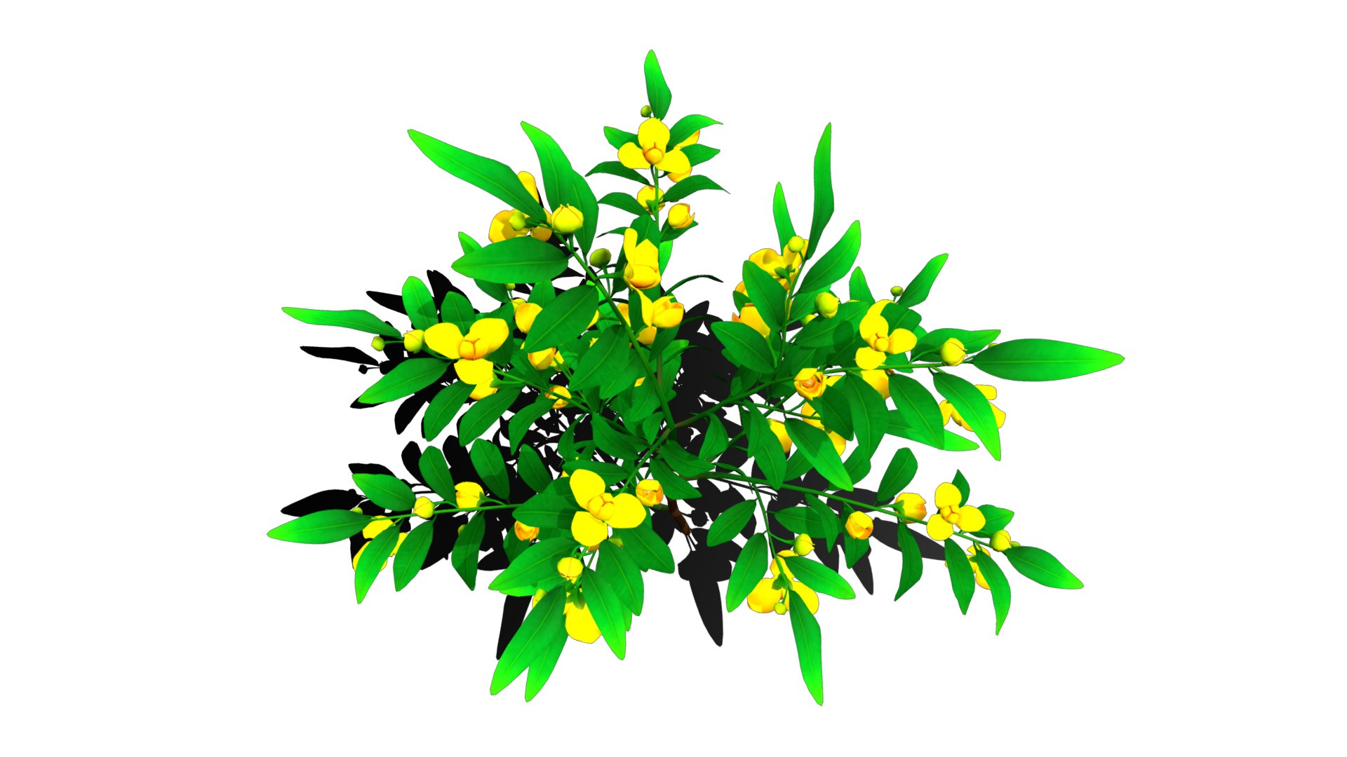 3D Flower Rumdul model - TurboSquid 2132118