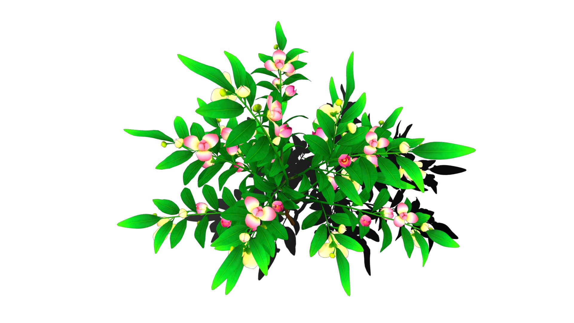 3D Flower Rumdul model - TurboSquid 2132118