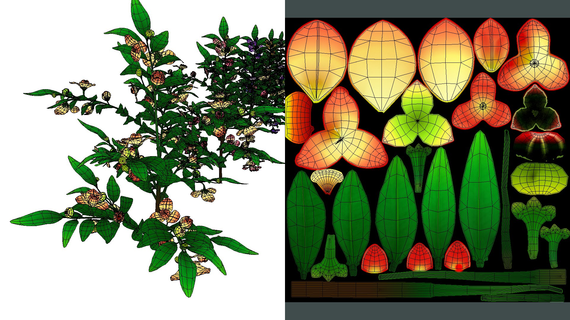 3D Flower Rumdul model - TurboSquid 2132118