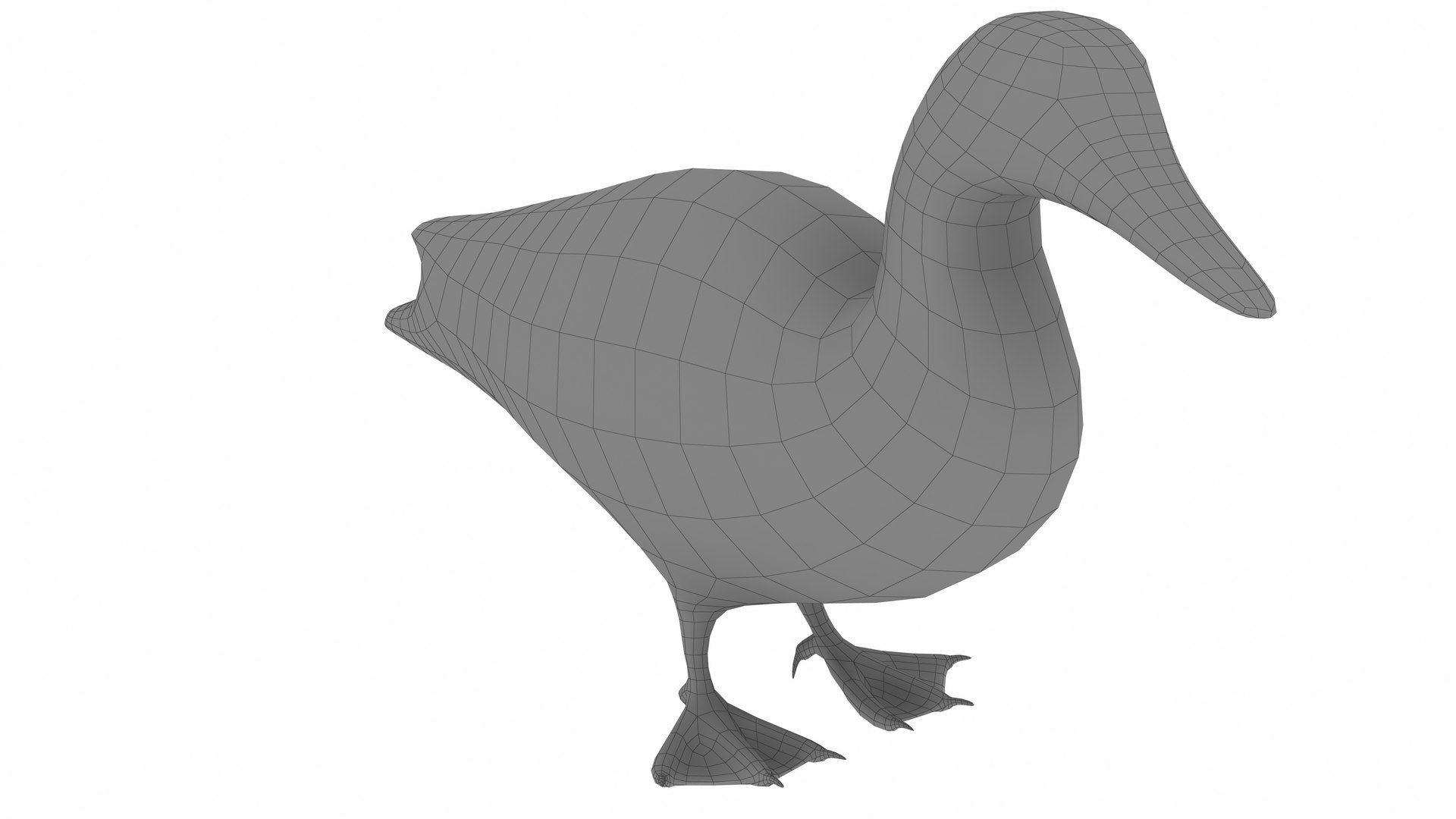 3D Mallard Duck Model - TurboSquid 2329560
