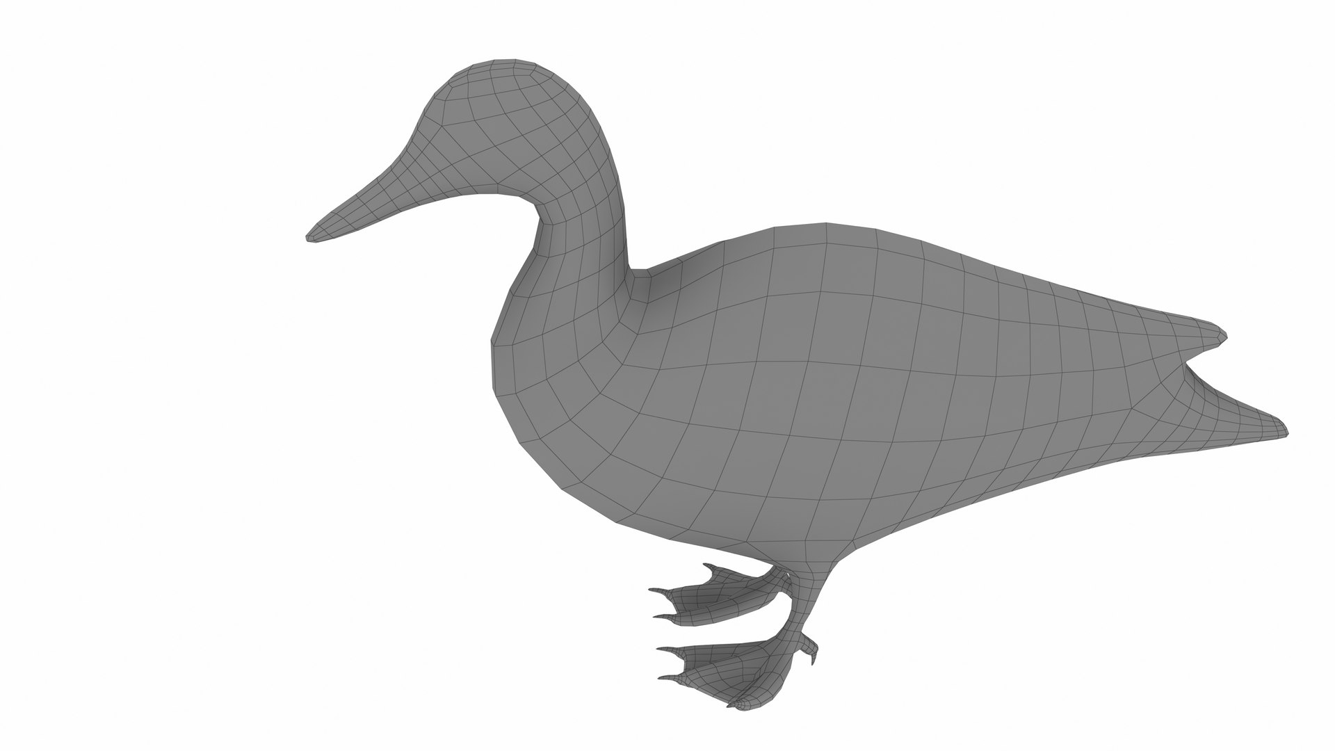 3D Mallard Duck Model - TurboSquid 2329560