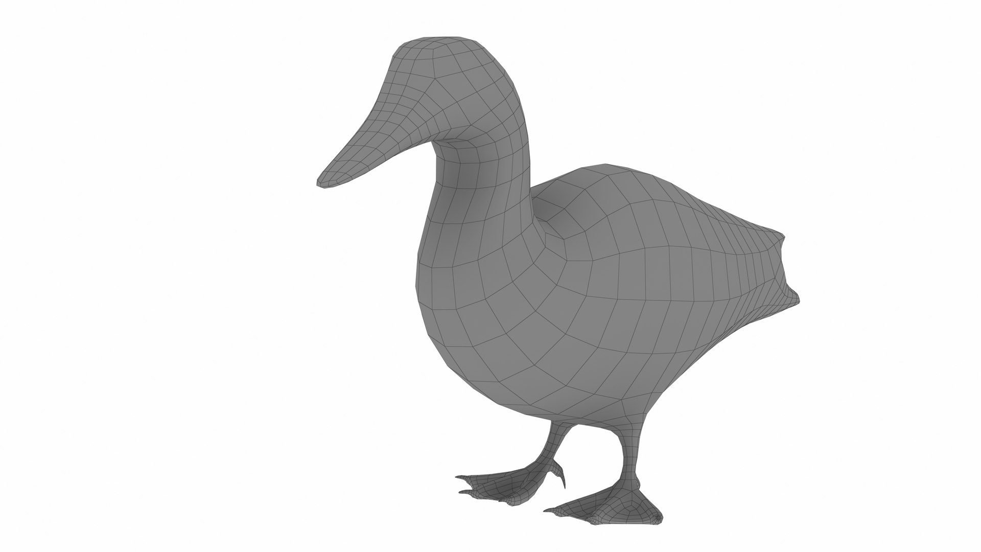 3D Mallard Duck Model - TurboSquid 2329560