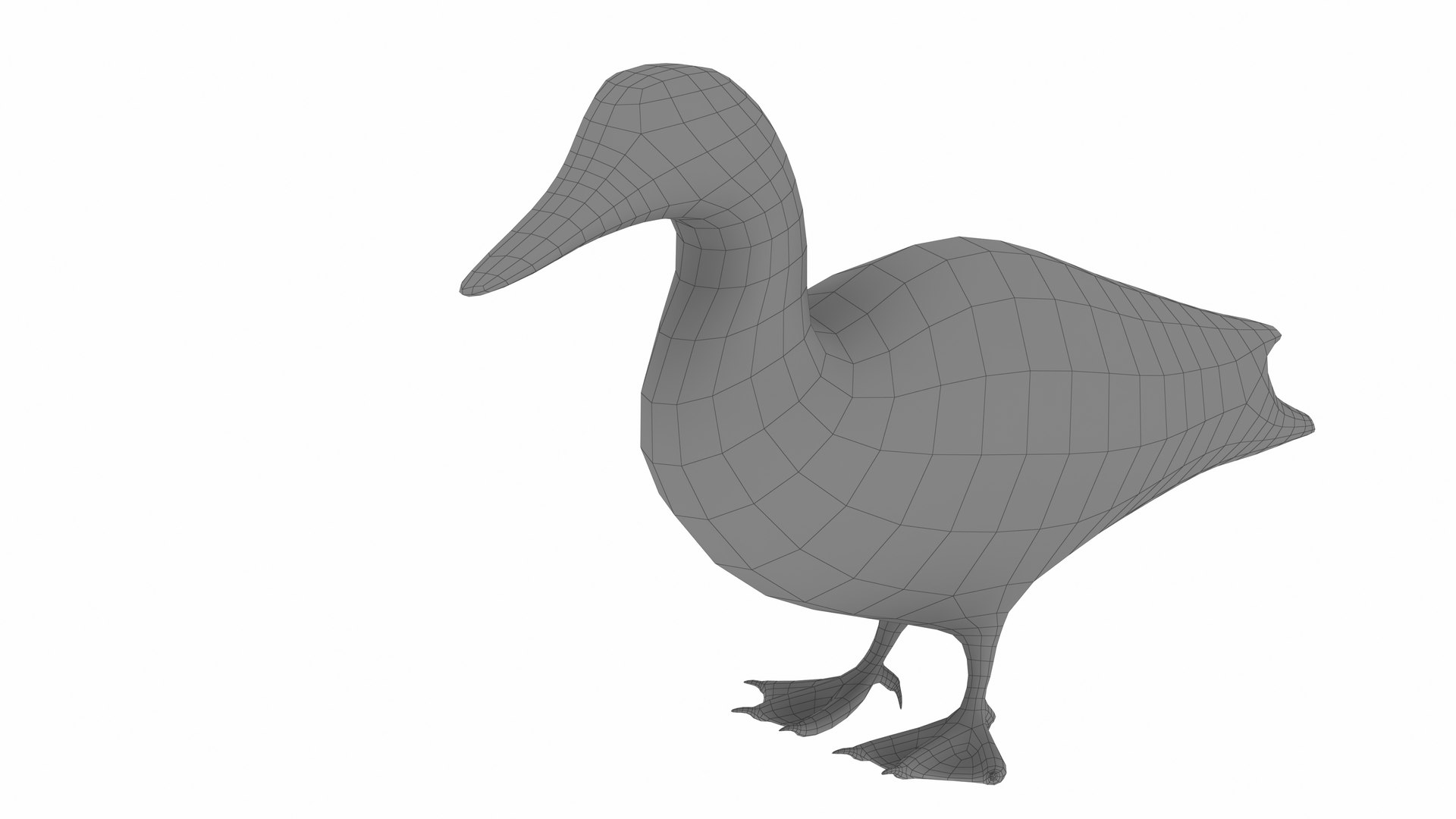 3D Mallard Duck Model - TurboSquid 2329560
