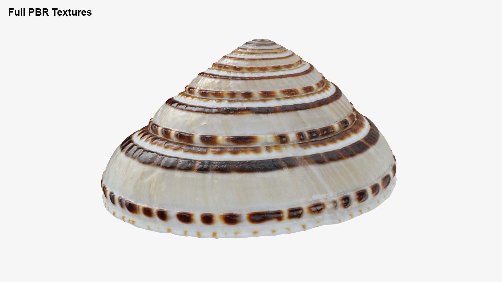 Architectonica Perspectiva Raw Scan 3D - TurboSquid 2383898