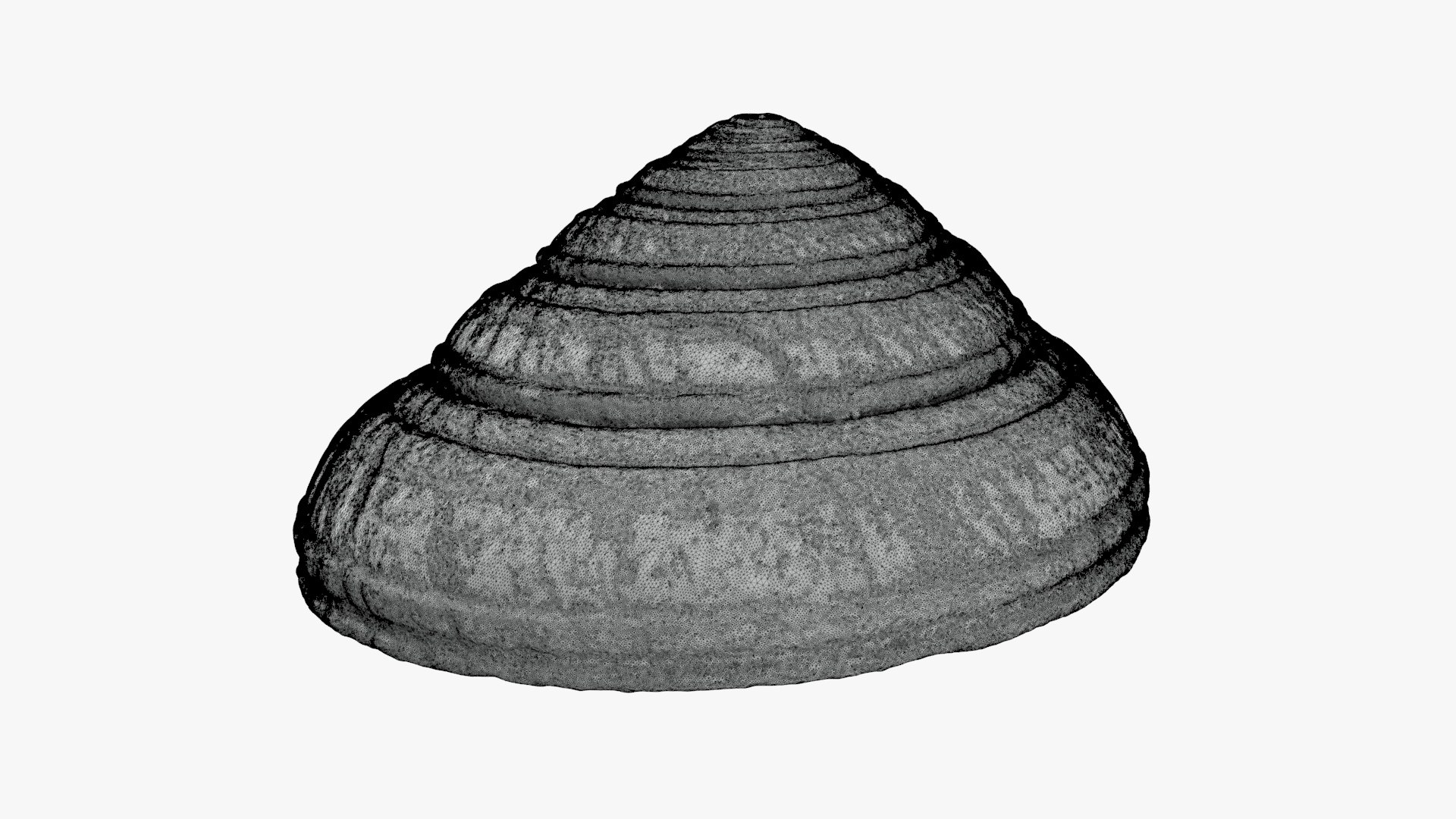 Architectonica Perspectiva Raw Scan 3D - TurboSquid 2383898