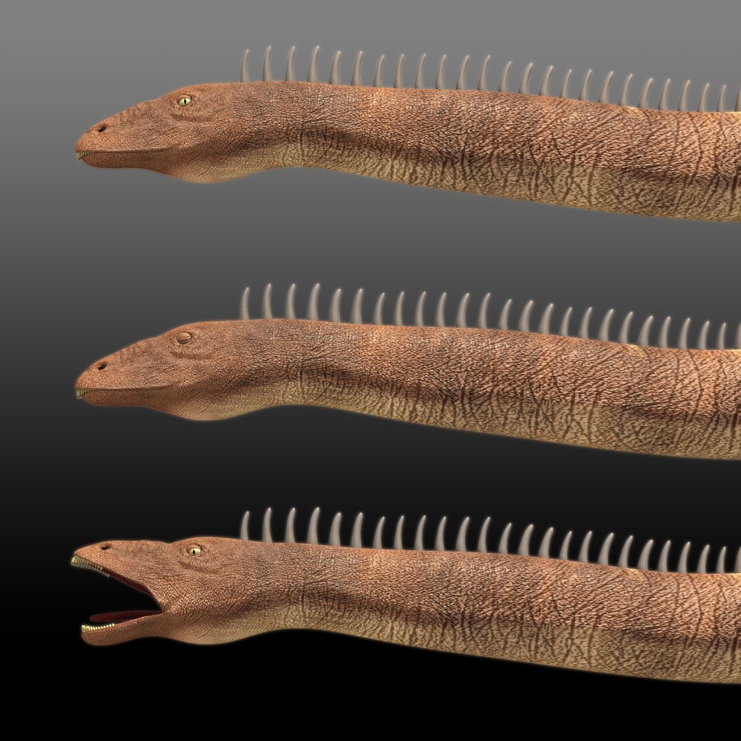 Diplodocus Rigging Animation 3d Max