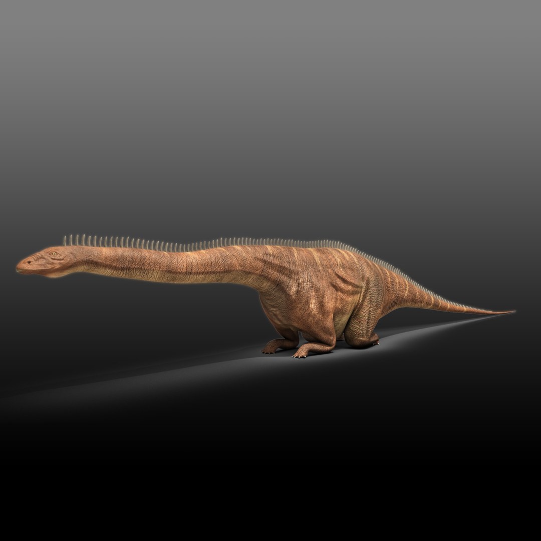 Diplodocus Rigging Animation 3d Max