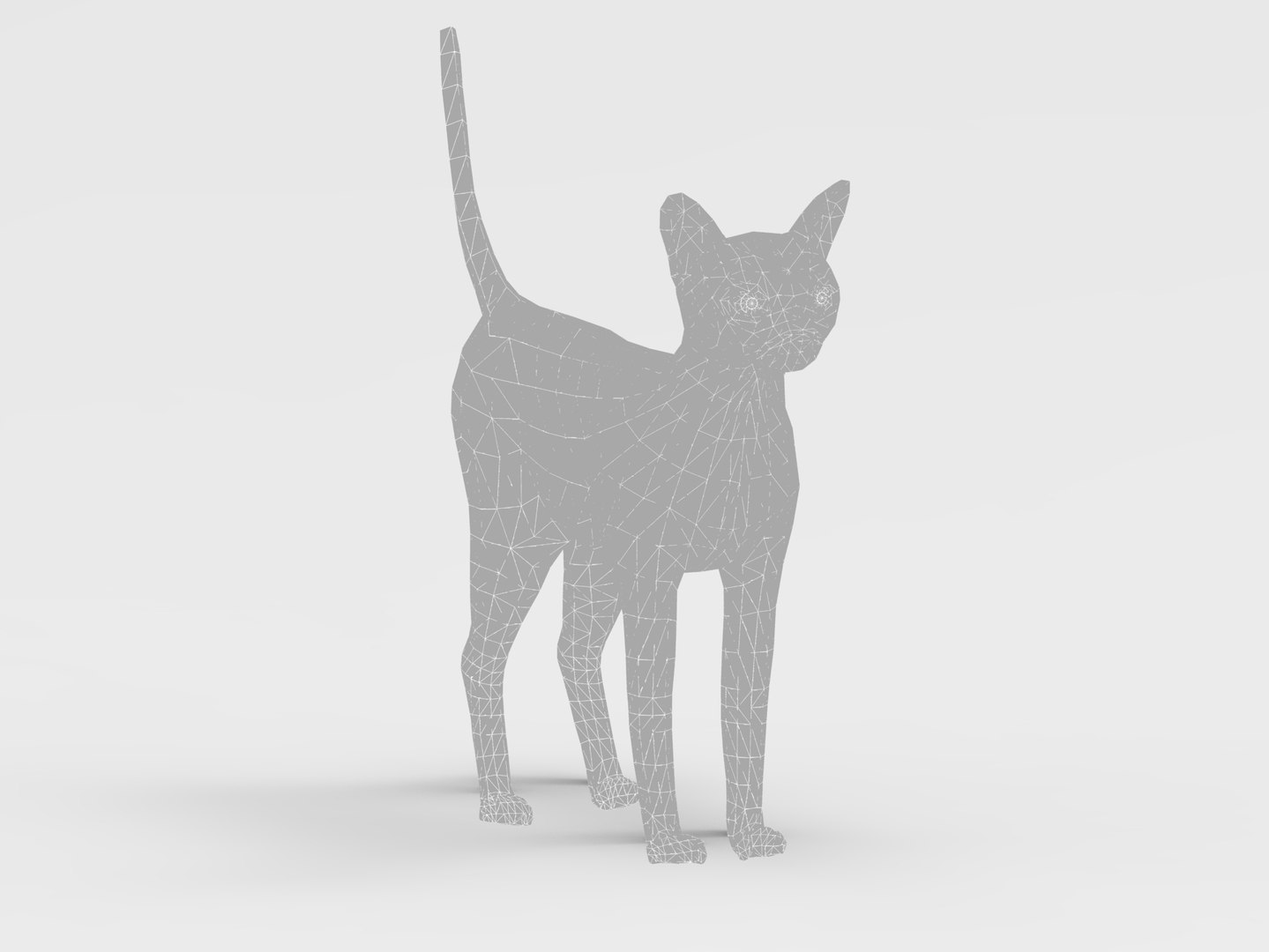 3D Cat Rigged Model - TurboSquid 1198016