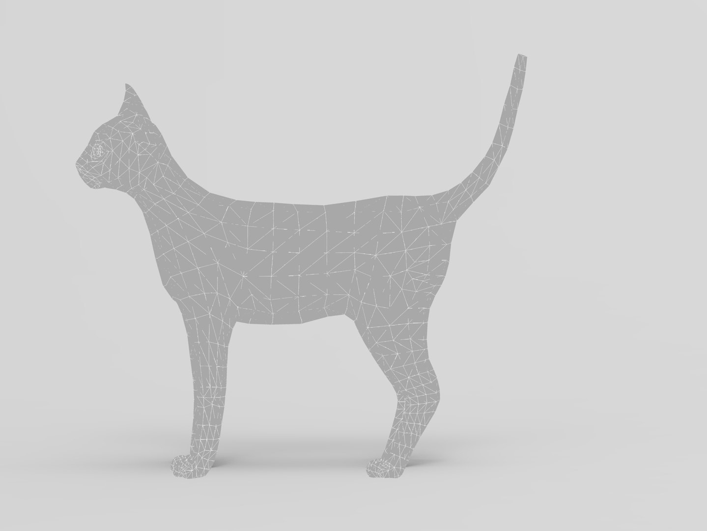 3D Cat Rigged Model - TurboSquid 1198016