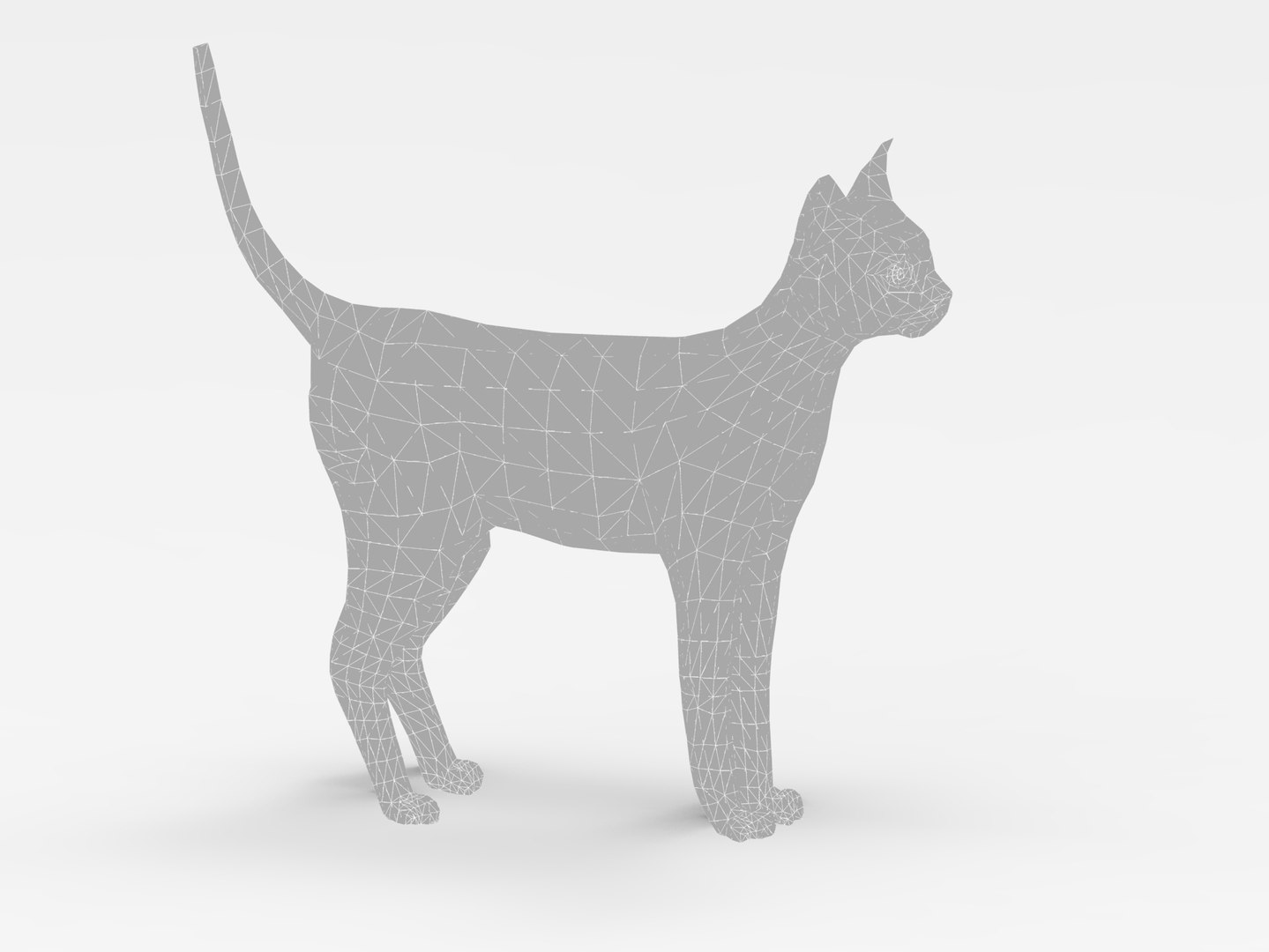 3D Cat Rigged Model - TurboSquid 1198016