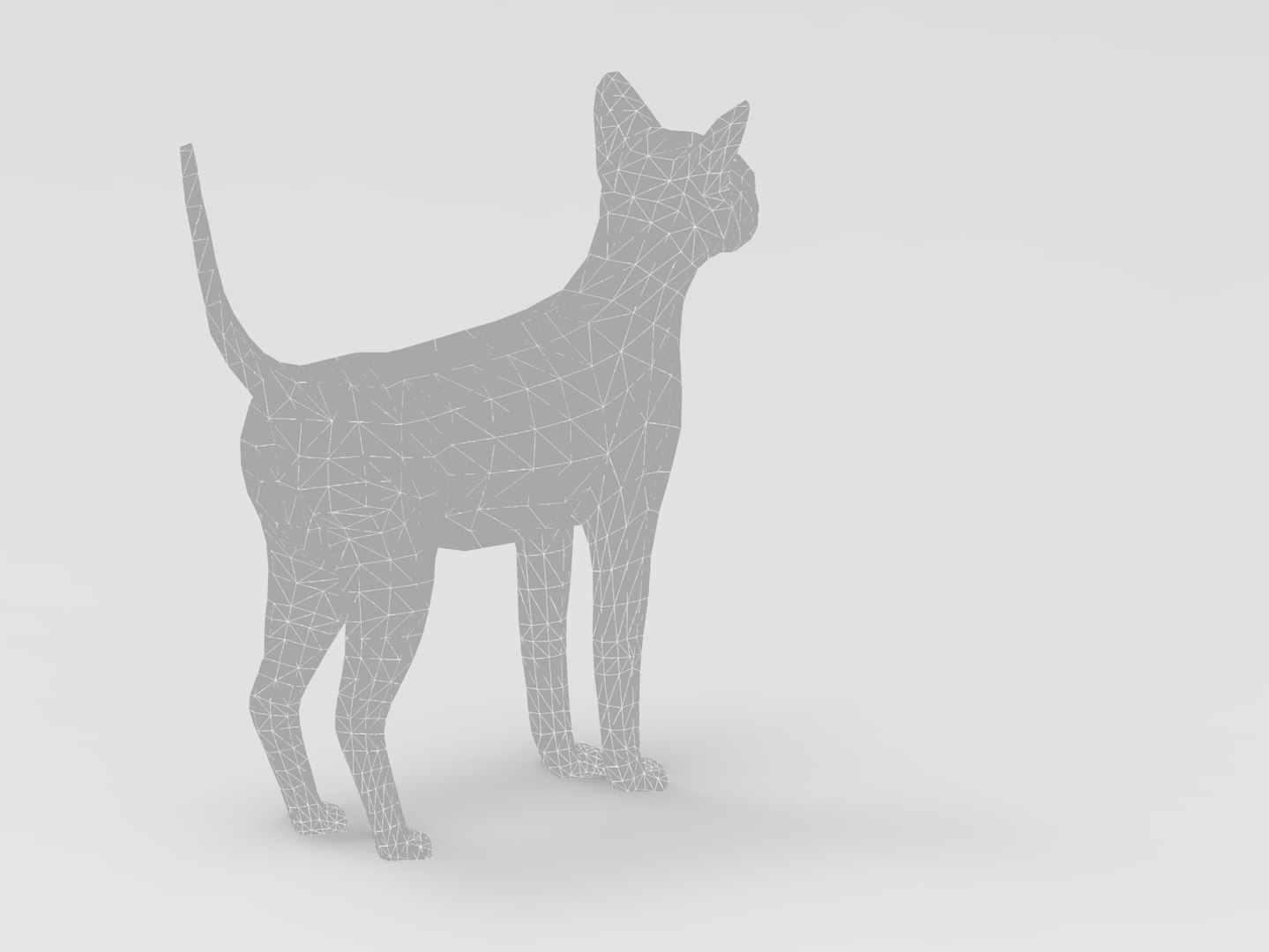 3D Cat Rigged Model - TurboSquid 1198016
