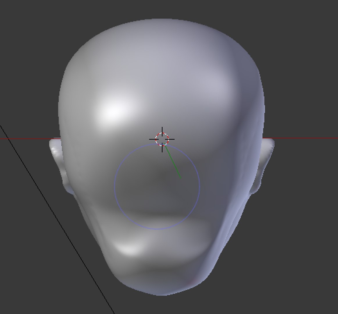 3d Basic Head