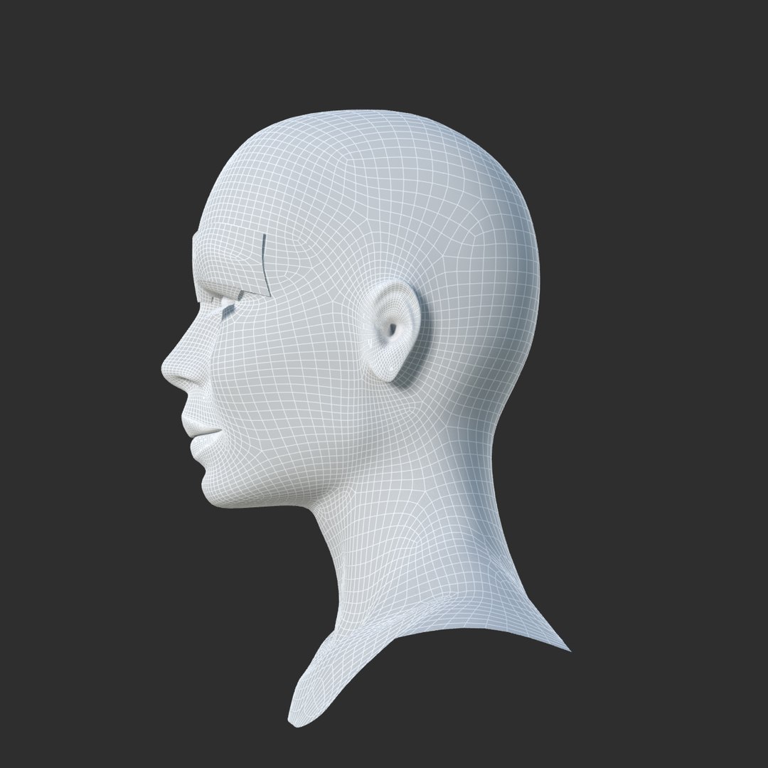 Human Head 3d 3ds