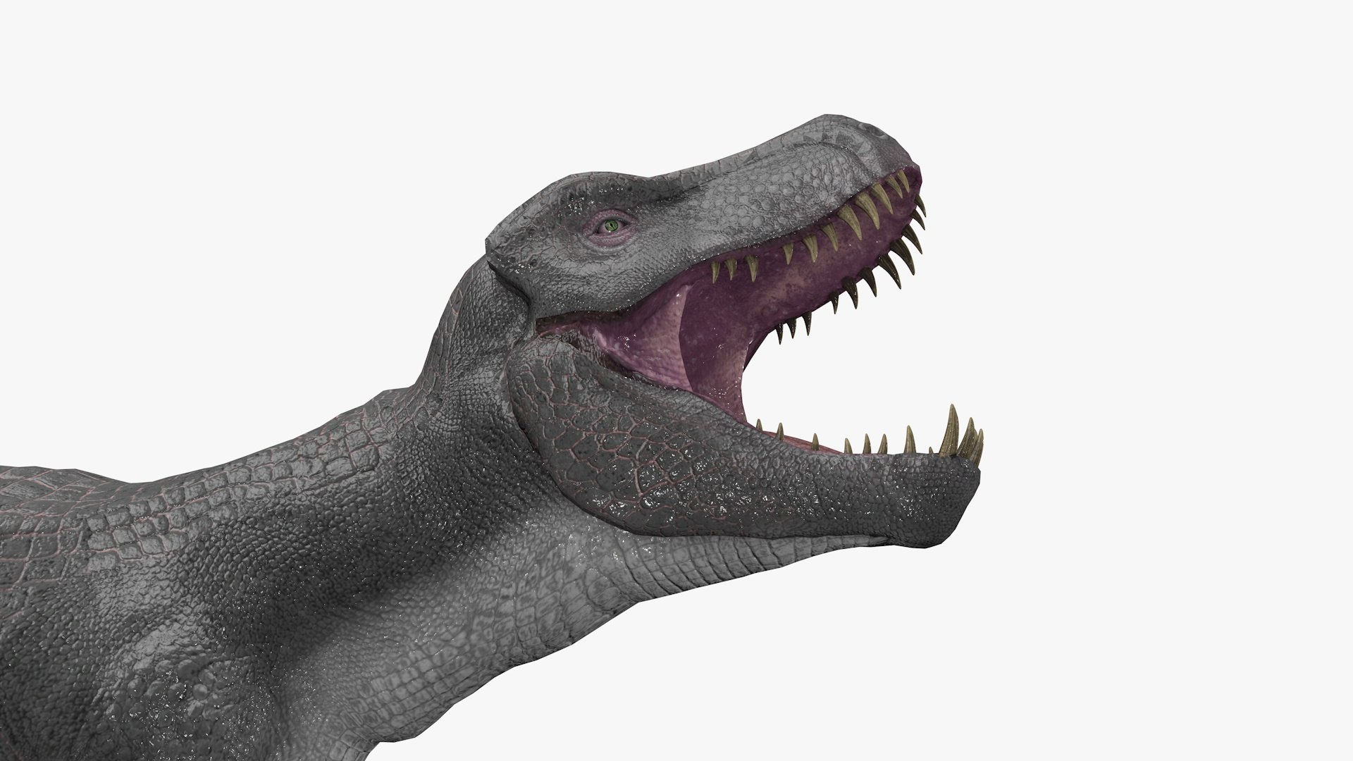 Dino 3D Model - TurboSquid 1841121