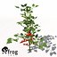 3d Model Xfrogplants Cherry Tomato Plant