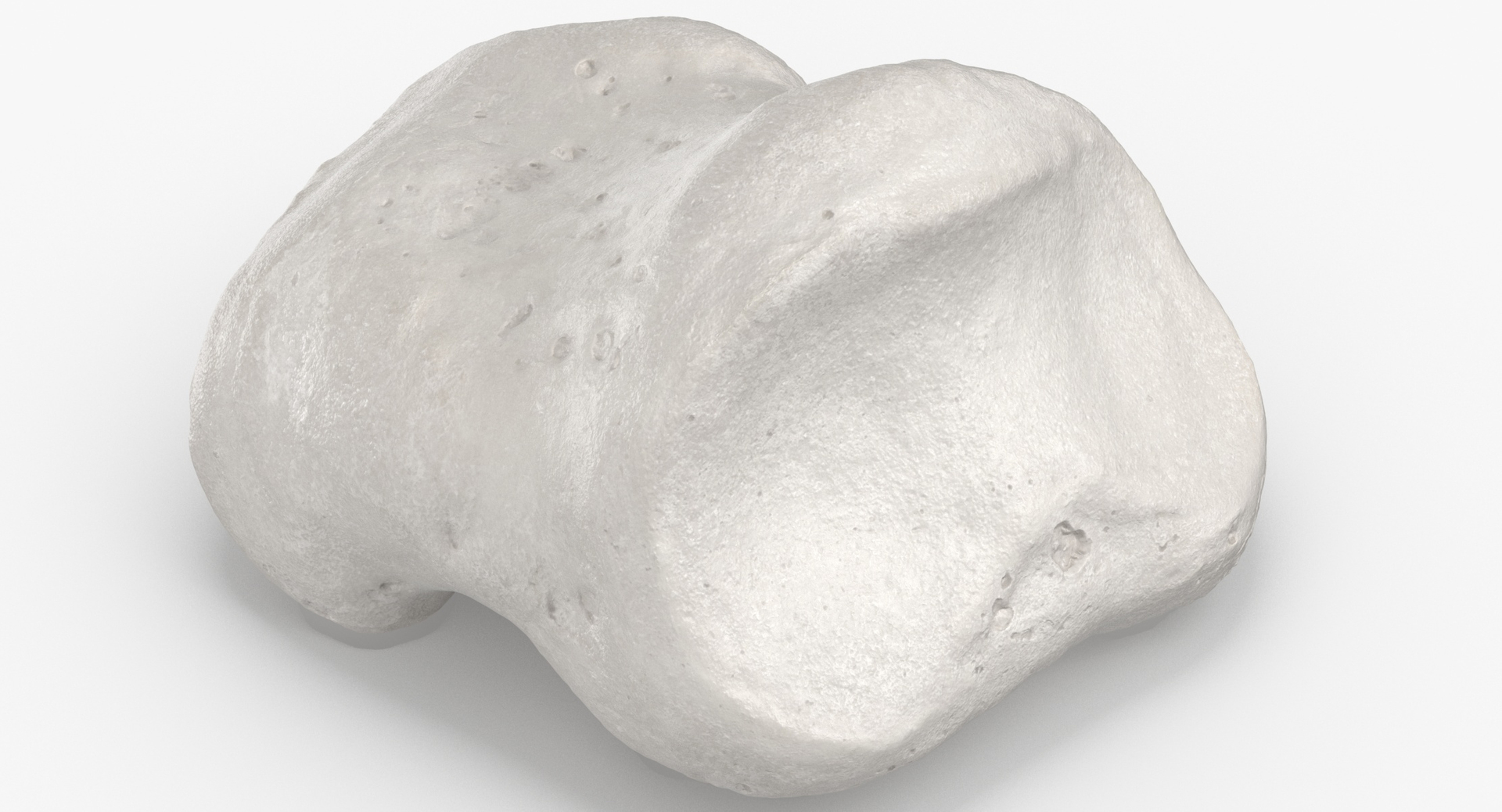 Human Phalanges Bones of the Little Toe White - 3 models 3D model ...