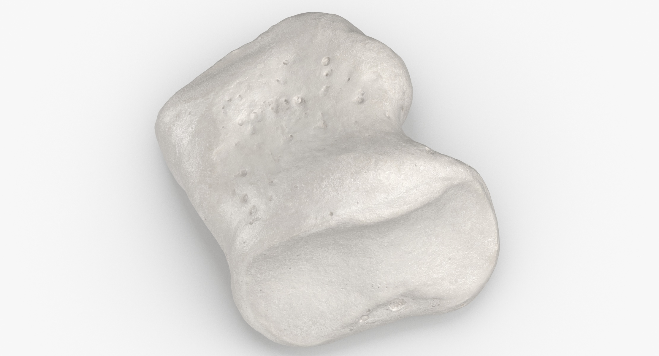 Human Phalanges Bones of the Little Toe White - 3 models 3D model ...