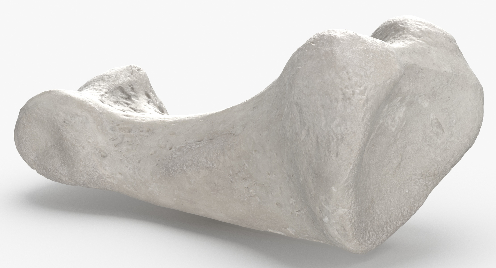 Human Phalanges Bones of the Little Toe White - 3 models 3D model ...