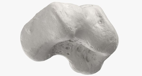 Human Phalanges Bones of the Little Toe White - 3 models 3D model ...