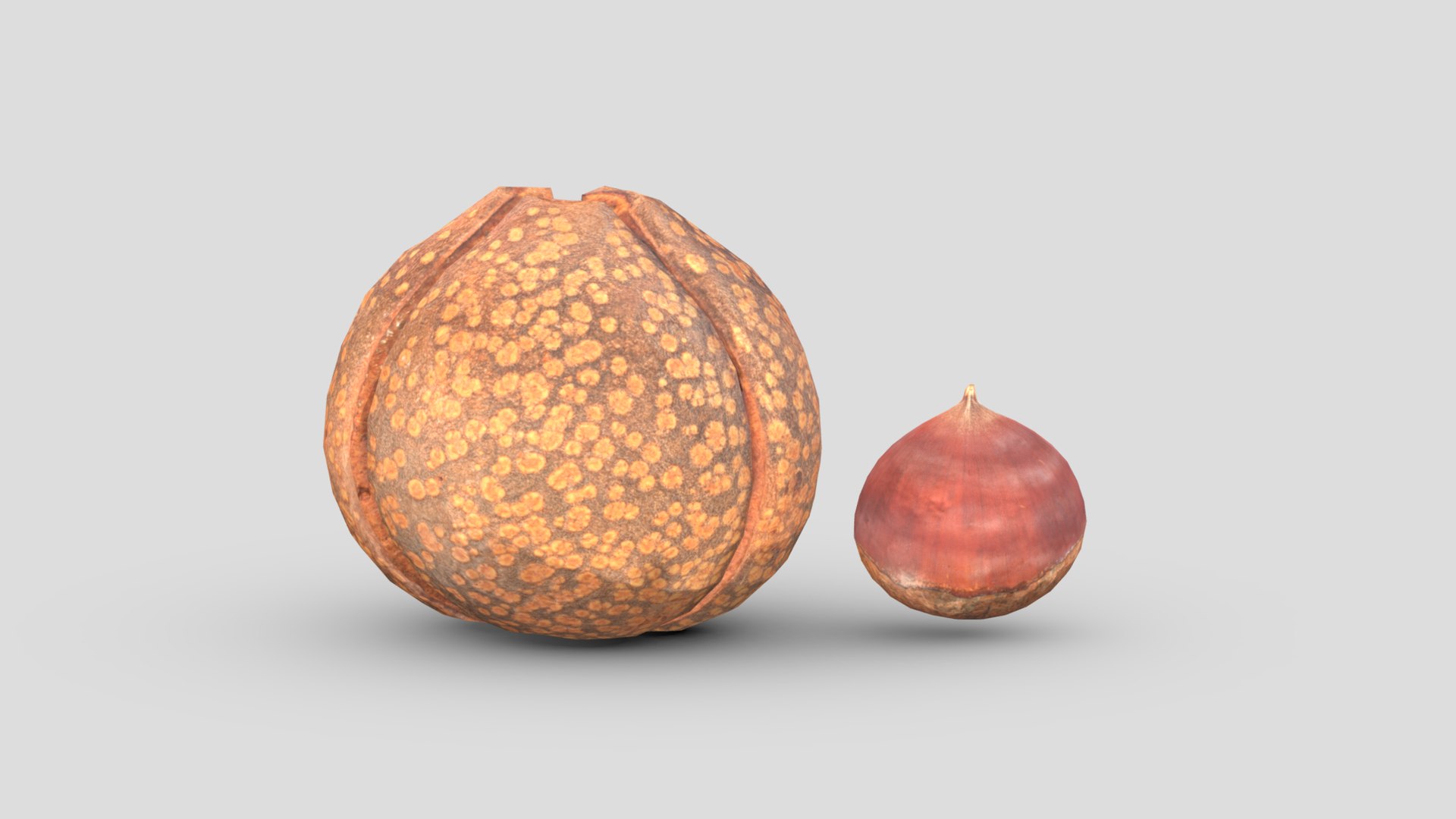 Chestnut Low Poly Model - TurboSquid 2251431