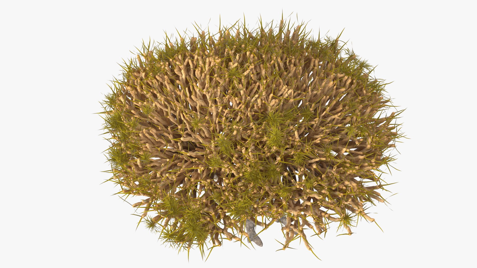 3D Dragon Tree - TurboSquid 1740585