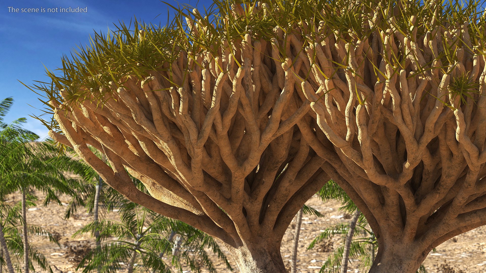 3D Dragon Tree - TurboSquid 1740585