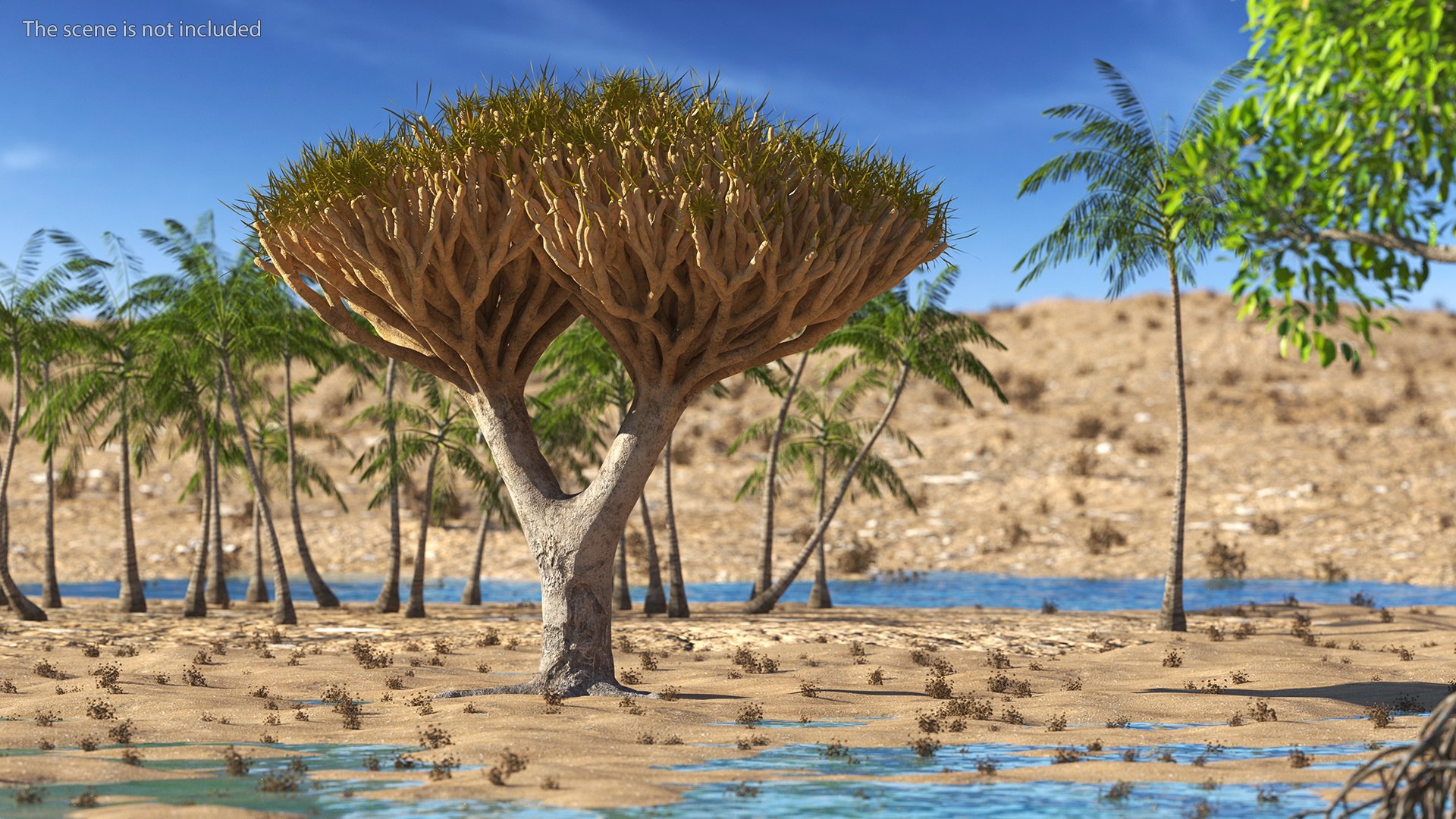3D Dragon Tree - TurboSquid 1740585